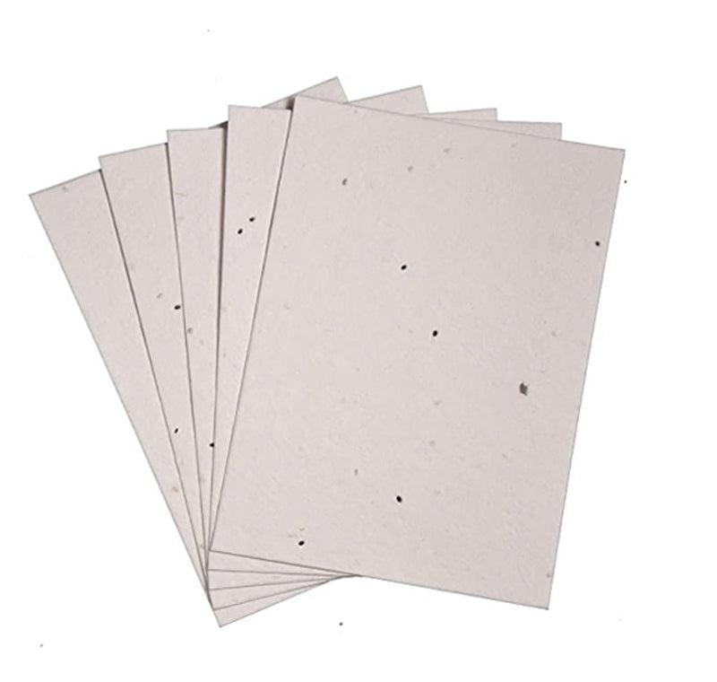 Kavi Basil Seed Paper (Pack of 50) – Kavi The Poetry-Art Project